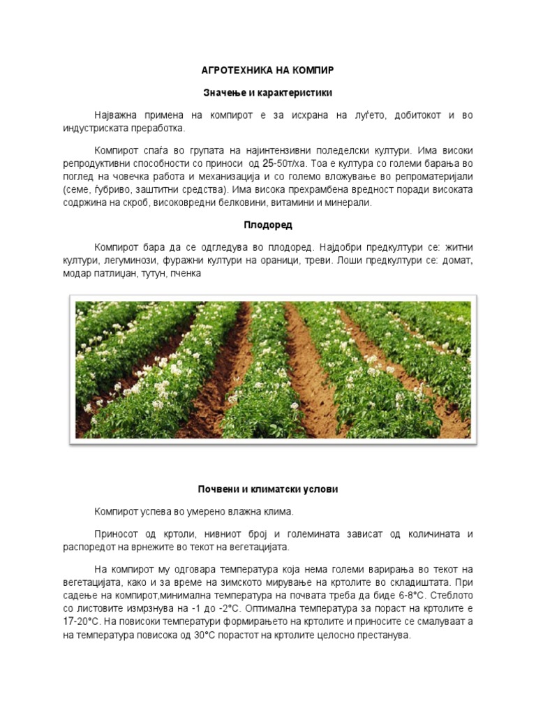 Agrotehnika Na Kompir | PDF