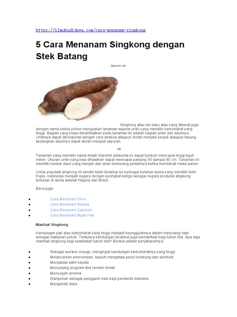 Cara Menanam Singkong | PDF