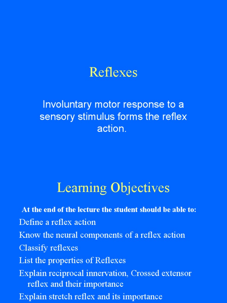 Reflexes: Involuntary Motor Response To A Sensory Stimulus Forms The ...
