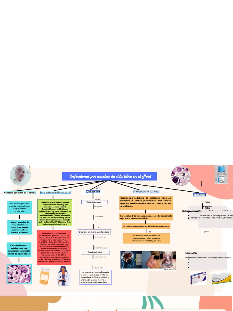 Infecciones Por Amebas de Vida Libre en El Perú | PDF | Especialidades Medicas | Medicina CLINICA