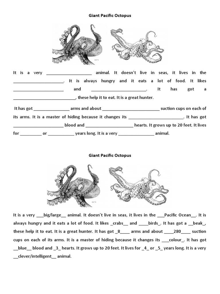 Amazing Animals - Present Simple | PDF