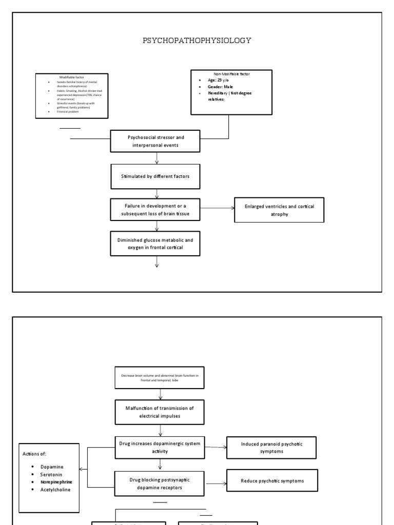Psychopathophysiology 2 | PDF | Schizophrenia | Psychosis