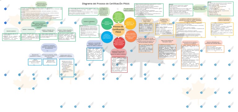 Diagrama PNAA | PDF | Auditoría | Contralor
