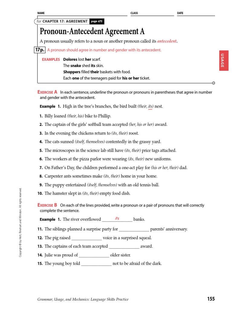 NEWProunoun Agreement Practice Indefinite | PDF | Grammatical Number ...