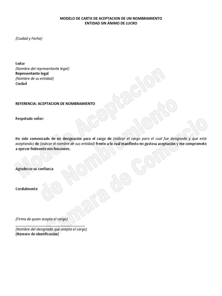 Paso 4 Carta de Nombramiento | PDF