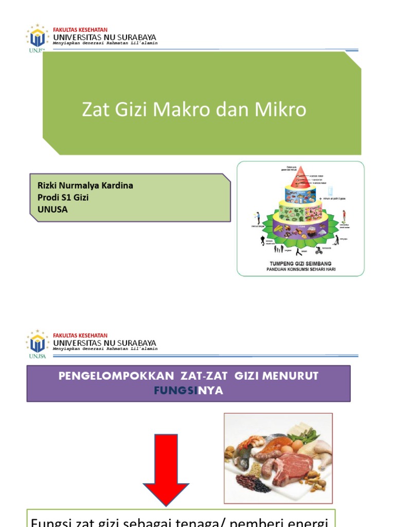 Zat Gizi Makro Dan Mikro-1 | PDF