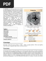 Gradiente Definicion y Gradiente Quimico | PDF | Degradado | Concentración
