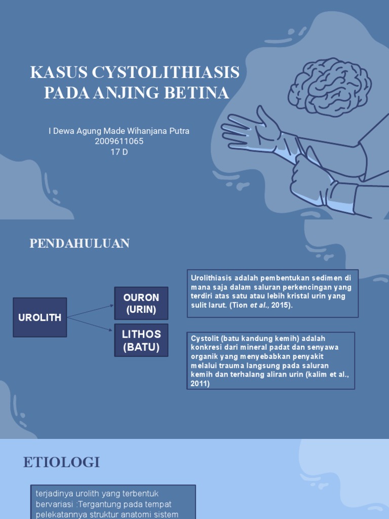 Kasus Cystolithiasis Anjing | PDF