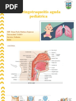 Plan de Cuidados de Enfermeria en Niños Con Laringitis | PDF | Laringe ...