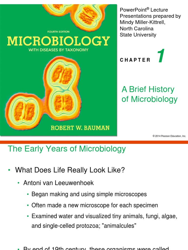 A Brief History of Microbiology | PDF | Microorganism | Bacteria
