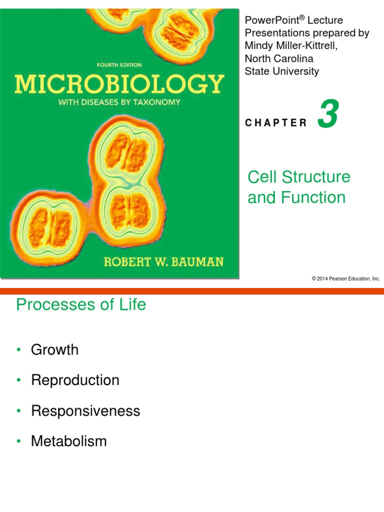 Cell Structure and Function: Powerpoint Presentations Prepared by Mindy ...