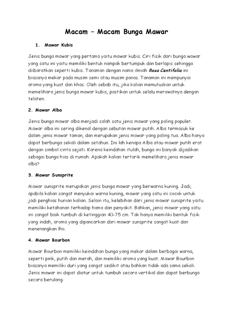 Jenis-Jenis Bunga Mawar Populer | PDF