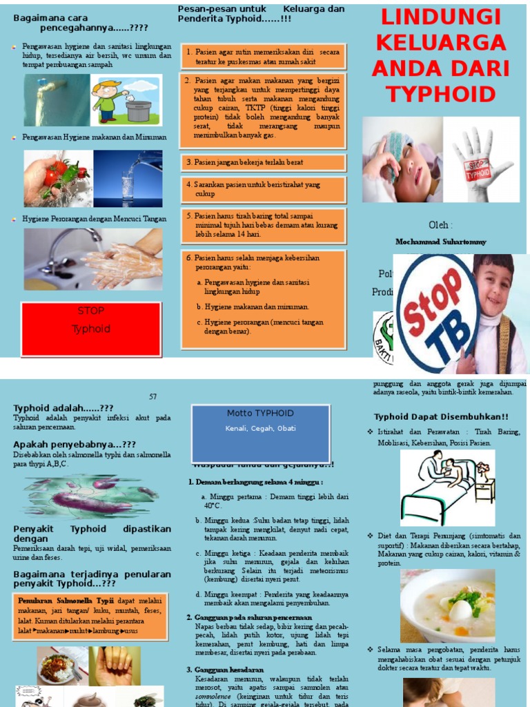 Leaflet-Typhoid | PDF