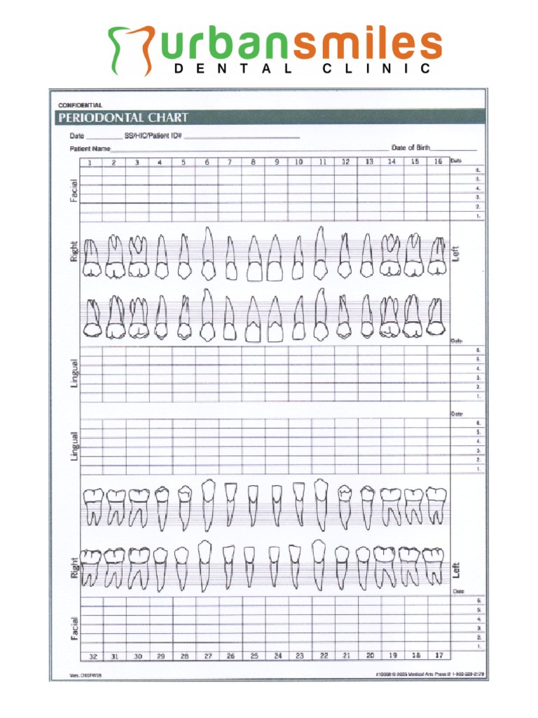 Usdc Periodontal Chart | PDF