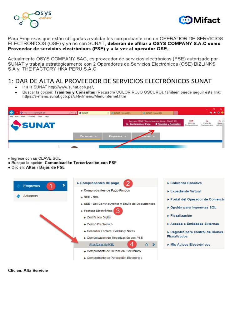 Correos Electrónicos Registrar Provedor OSE y PSE | PDF