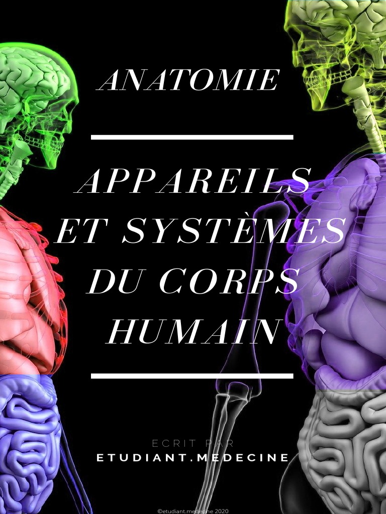 Appareils Et Systèmes Du Corps Humain | PDF | Pancréas | Foie