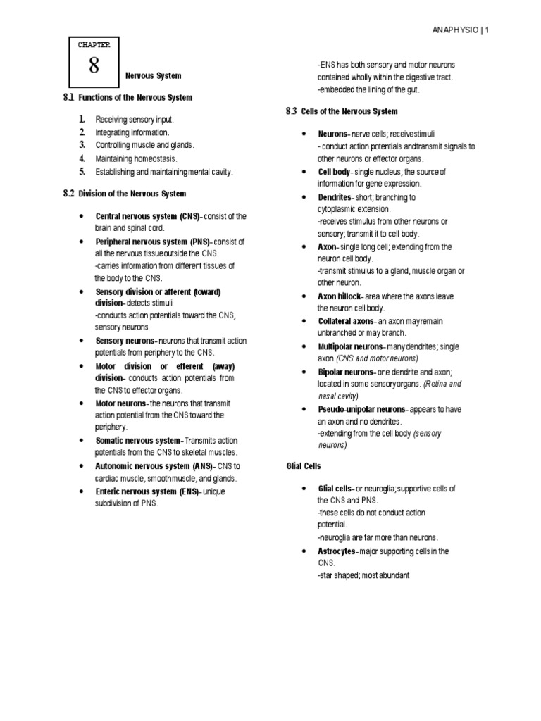 Overview of the Nervous System Functions | PDF | Chemical Synapse ...