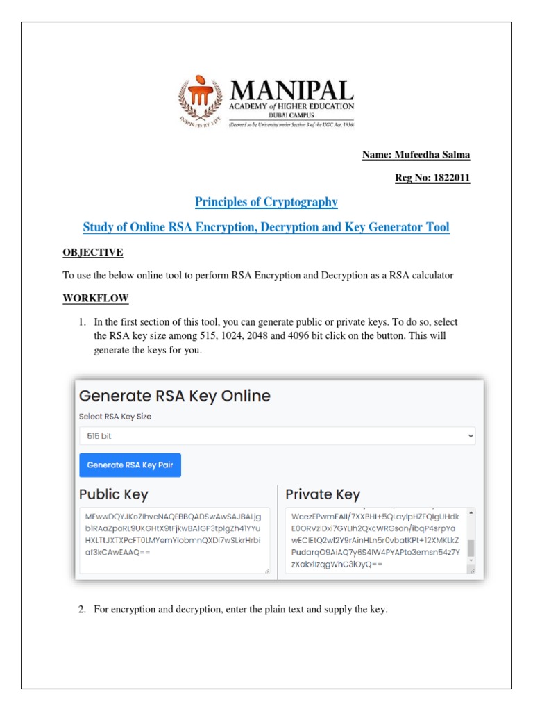 Rsa Assignment-1 | PDF
