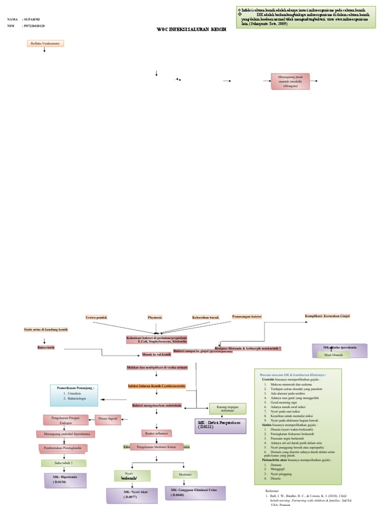Woc Infeksi Saluran Kemih - Suparmi | PDF