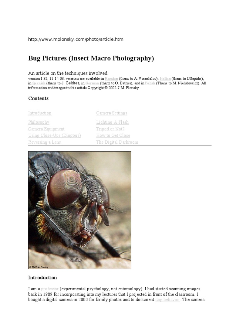 Bug Pictures - Insect Photgraphy | PDF | Macro Photography | Camera Lens