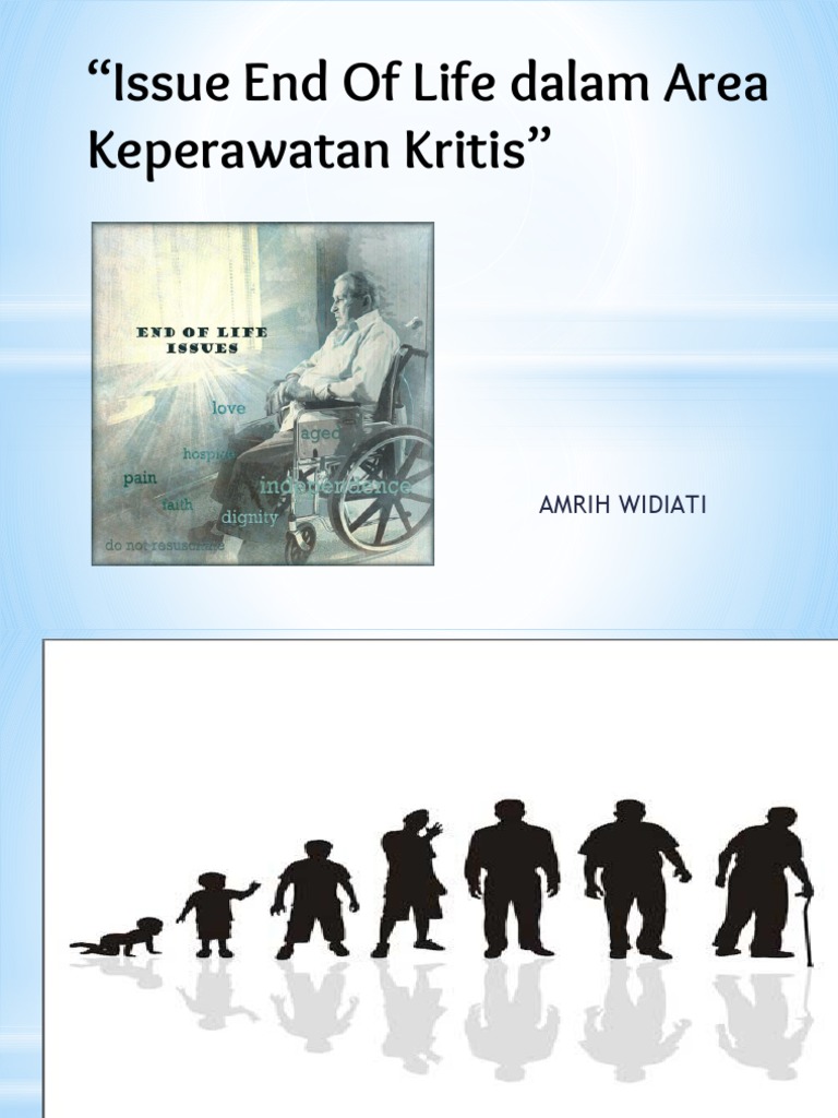 Issue End of Life | PDF