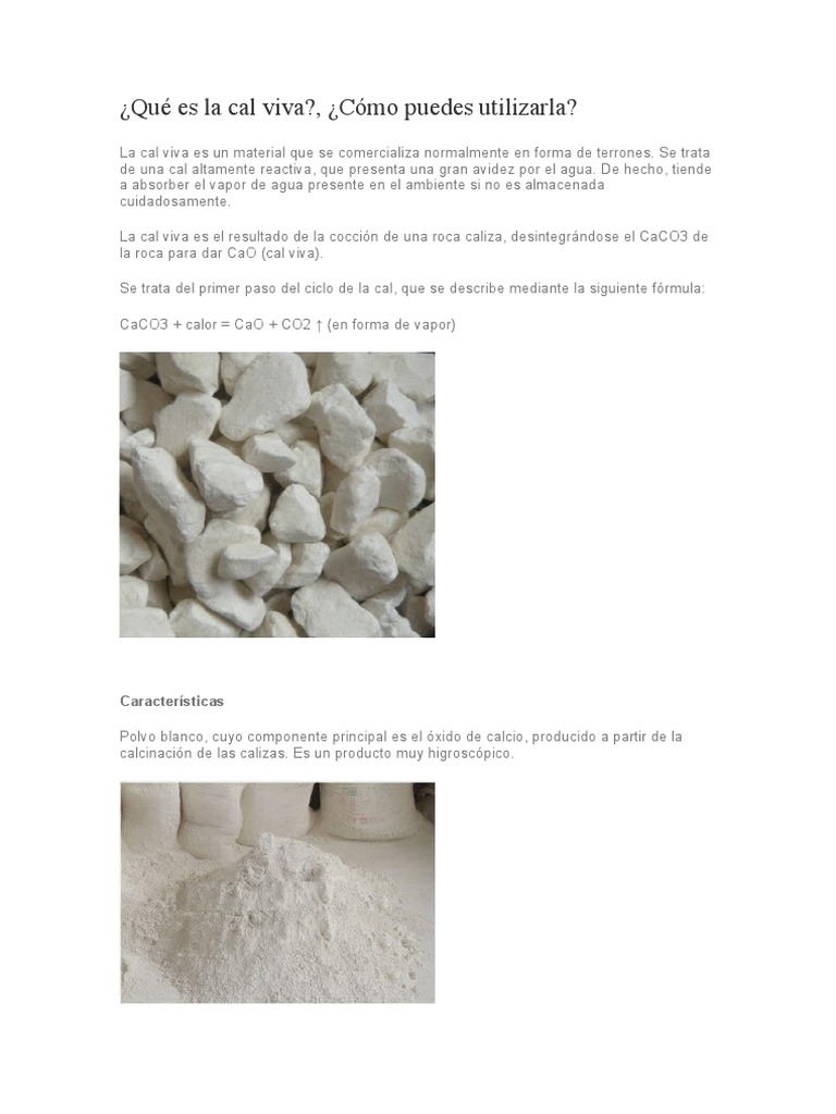 Cal Viva | PDF | Agua | Caliza