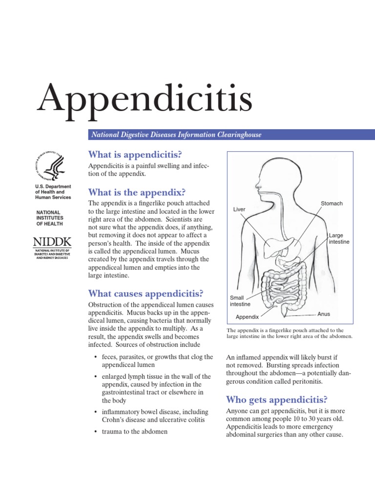 Appendicitis | PDF | Gastrointestinal Tract | Abdomen