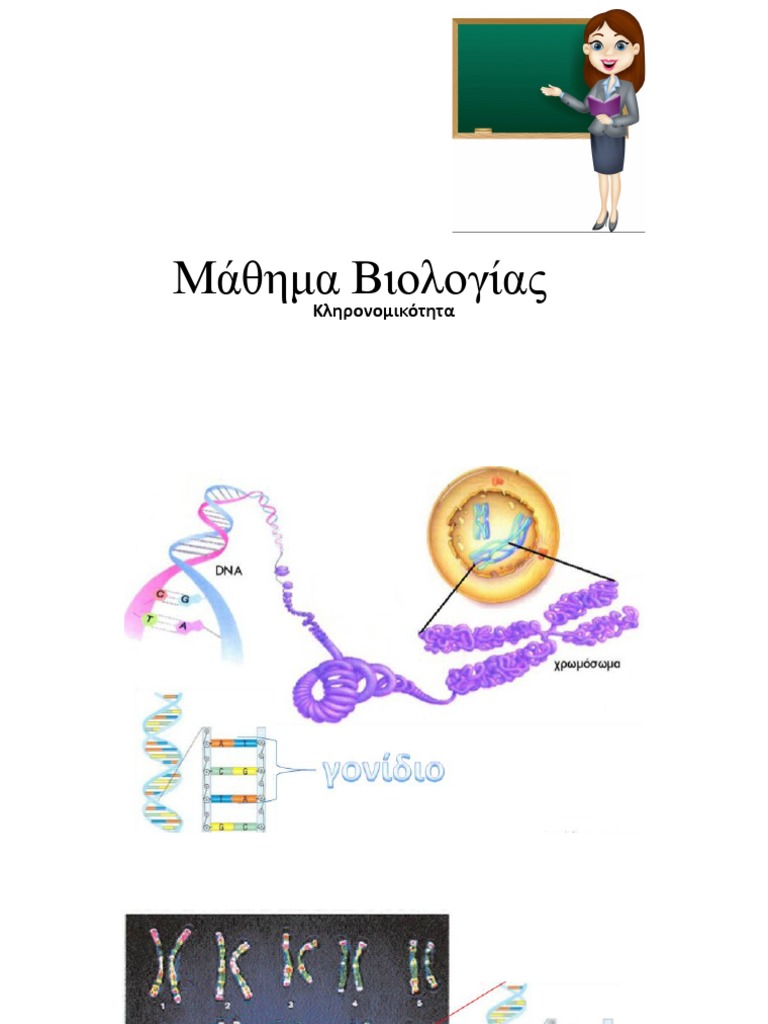 ΚΛΗΡΟΝΟΜΙΚΟΤΗΤΑ 01 | PDF