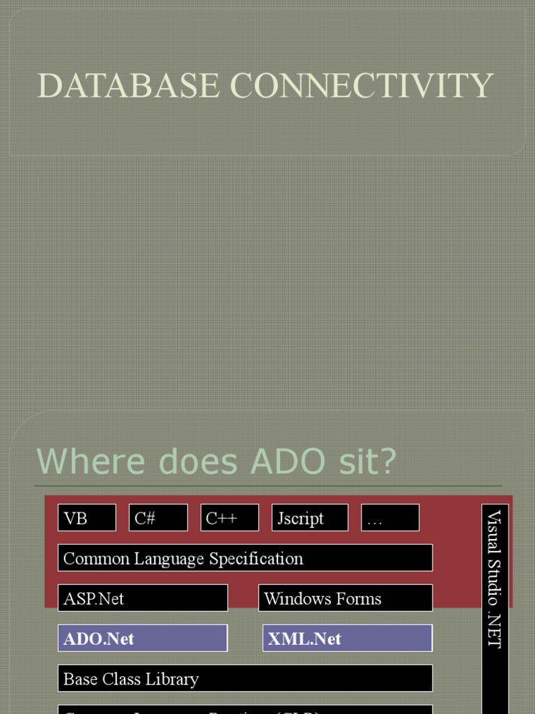 Database Connectivity | PDF | Databases | Microsoft Visual Studio