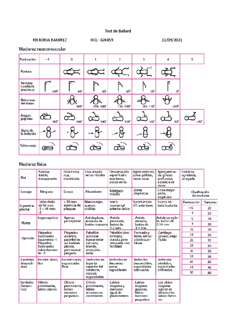 Test de Ballard | PDF