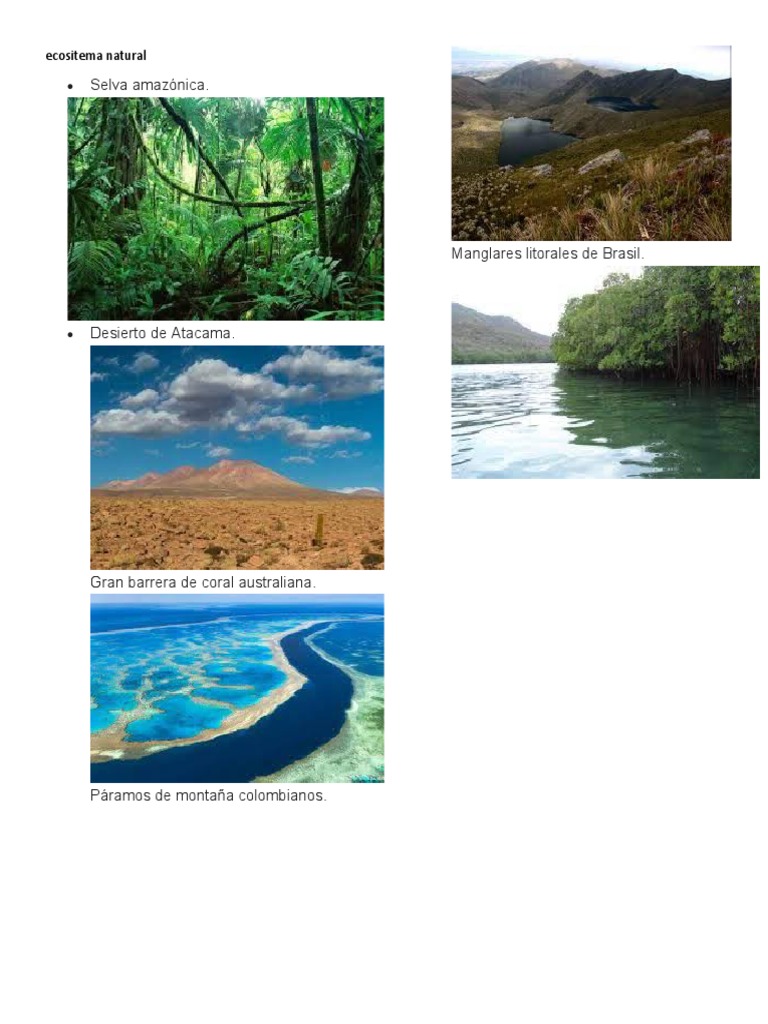 Ecositema Natural | PDF