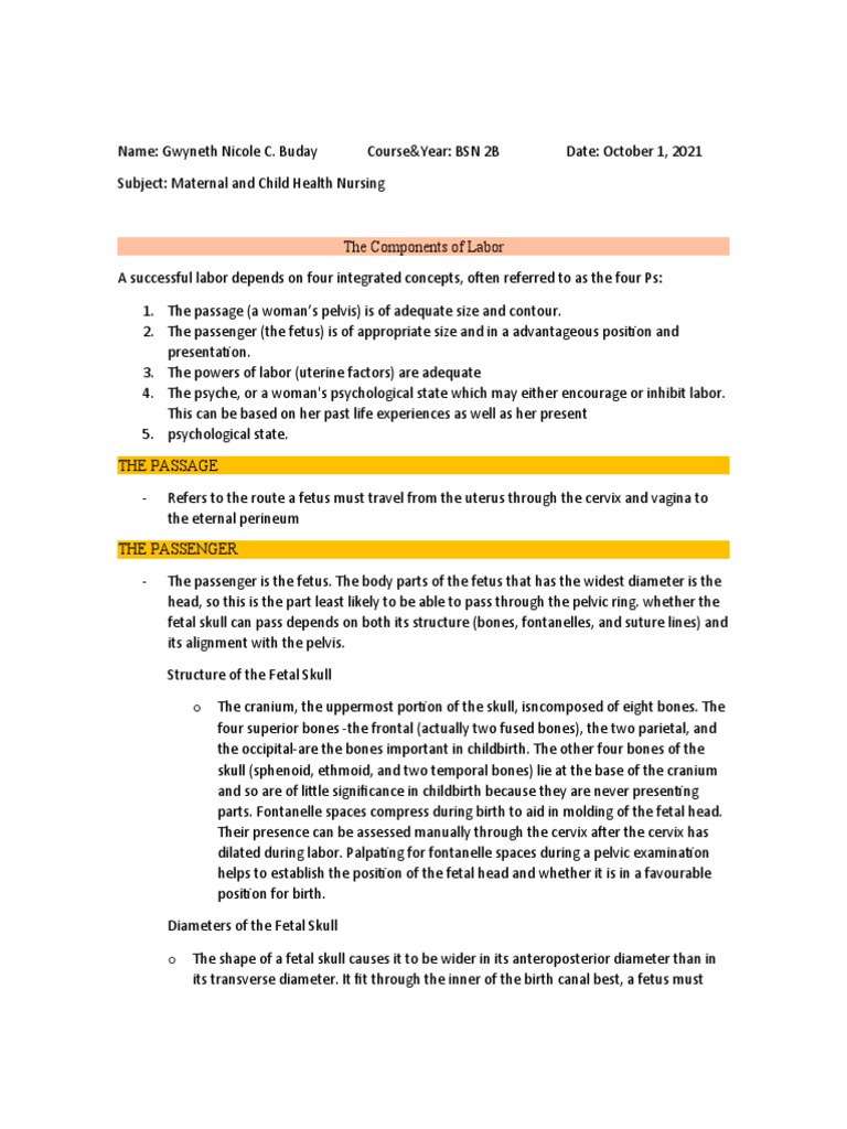 The Components of Labor and Delivery | PDF | Childbirth | Skull