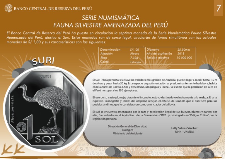 Suri Caracteristicas | PDF