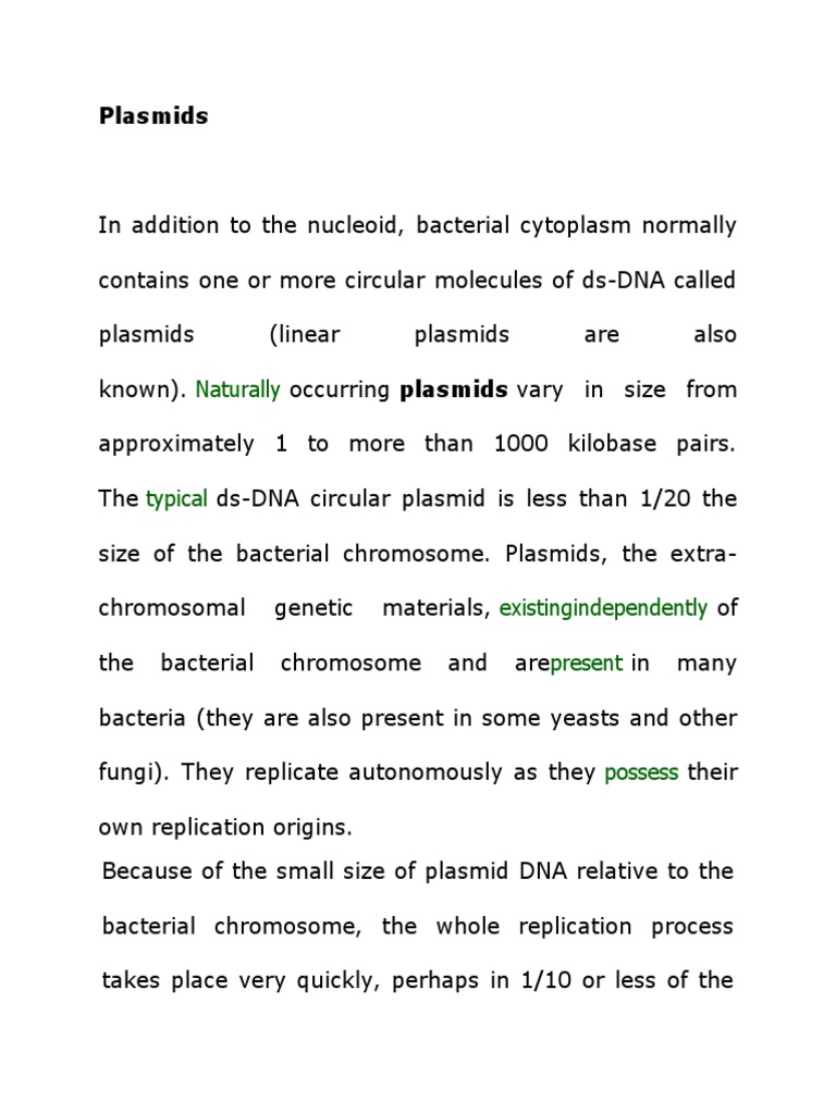 Bacterial Plasmids: Structure and Function | PDF