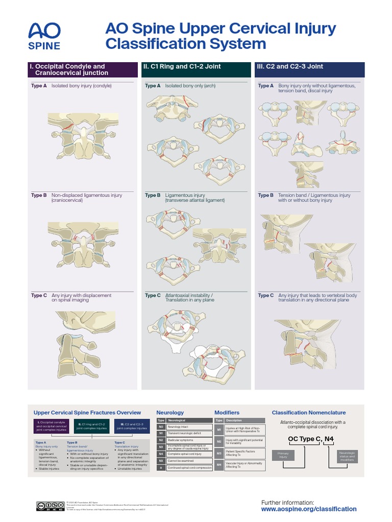 AOS Injury Classification Systems Poster UPPERCERVICAL | PDF | Spinal ...