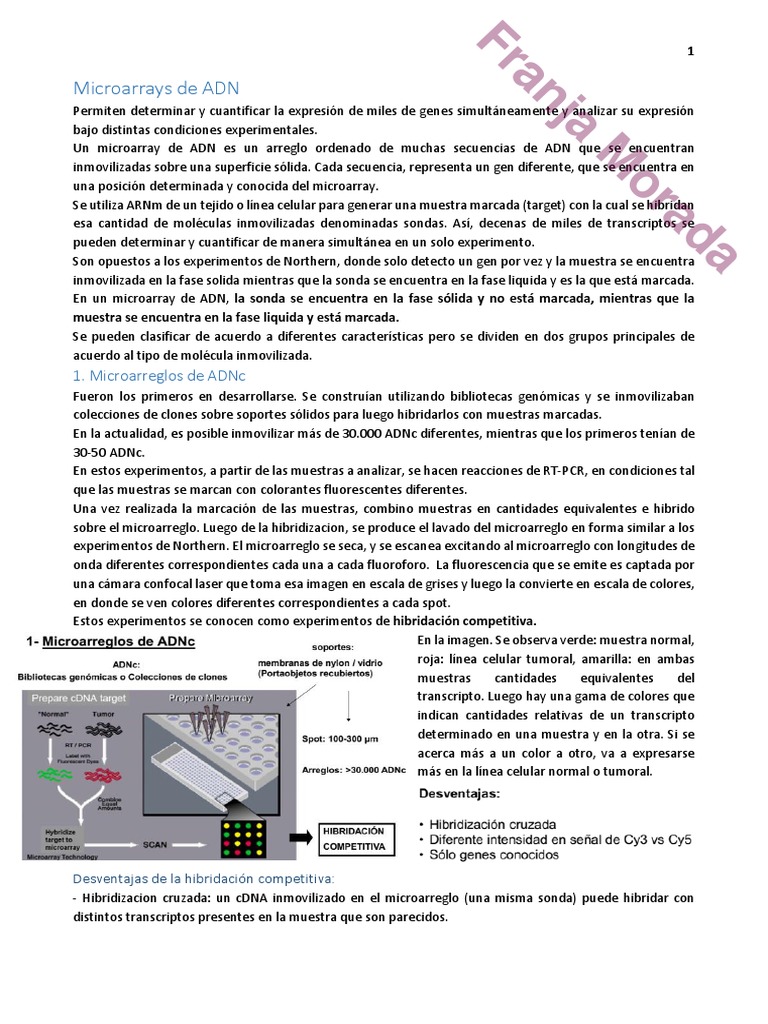 8 - Microarrays y Secuenciacion de ADN | PDF | Secuencia ADN | Adn ...