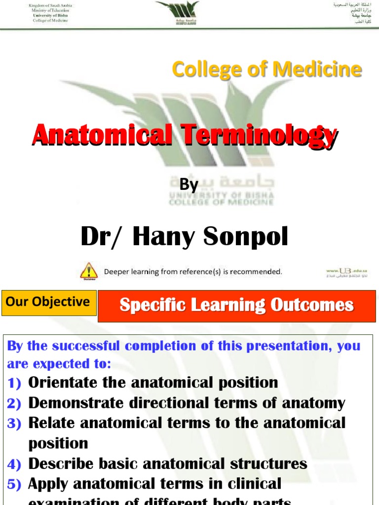 1 - Anatomical Terminology | PDF | Anatomical Terms Of Motion ...