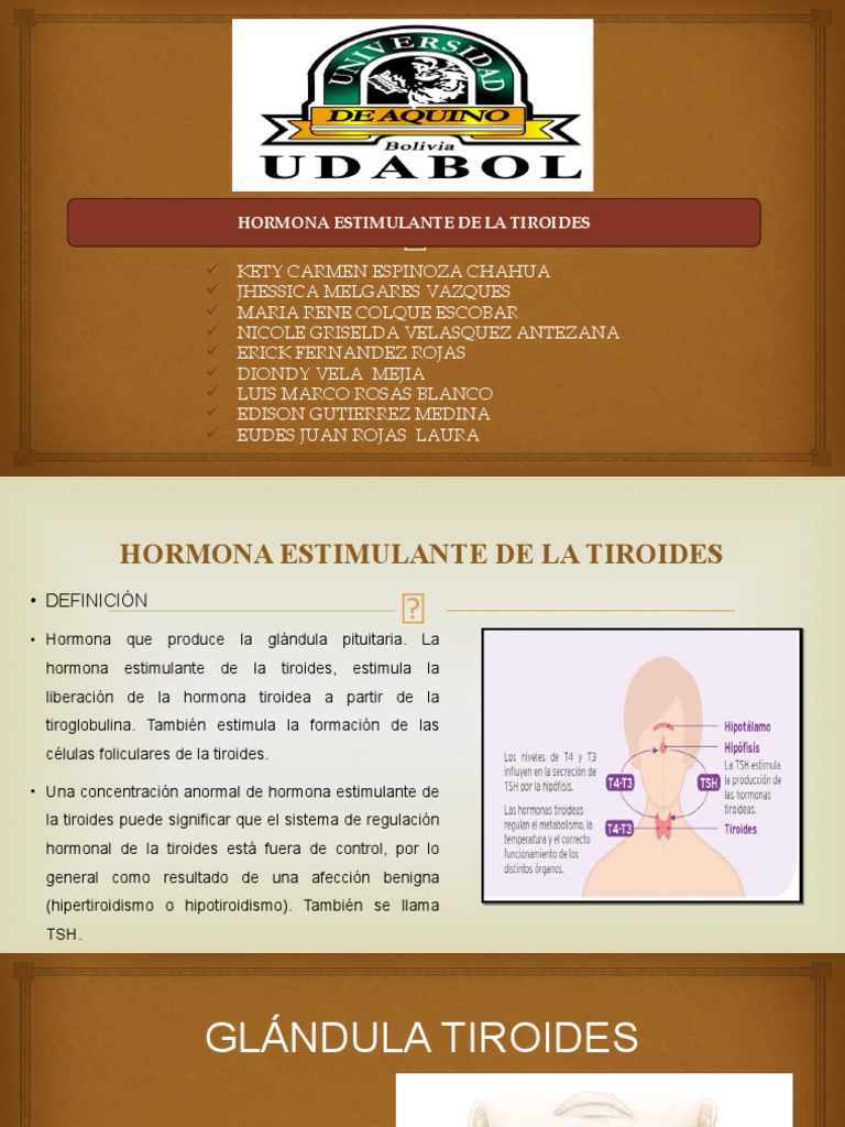 Presentacion. Hormona Estimulante de La Tiroides | PDF | Tiroides | Hormona estimulante de la ...