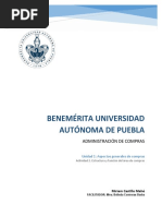 Misión, Visión y Valores de Liverpool | PDF | Corporaciones | Cliente