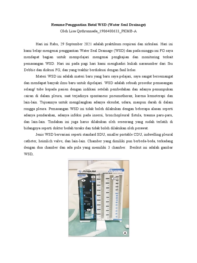 Cara Pemasangan dan Monitoring WSD | PDF