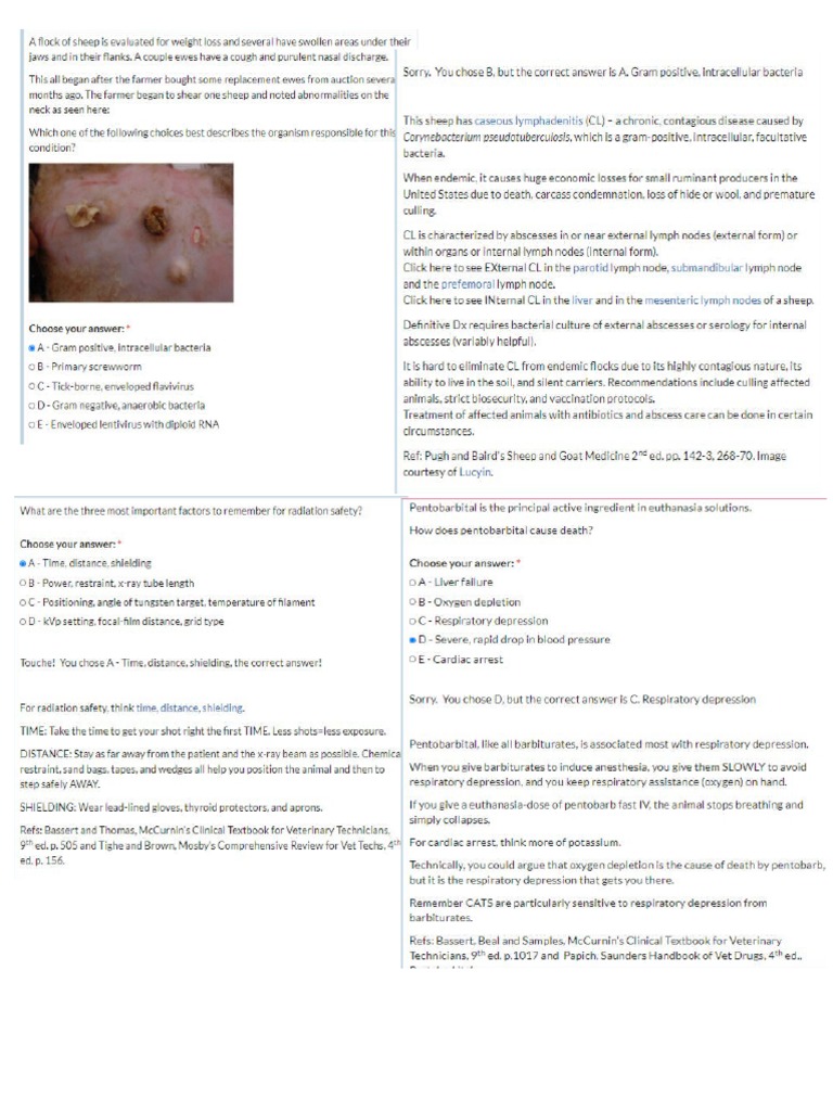 NAVLE Questions | PDF