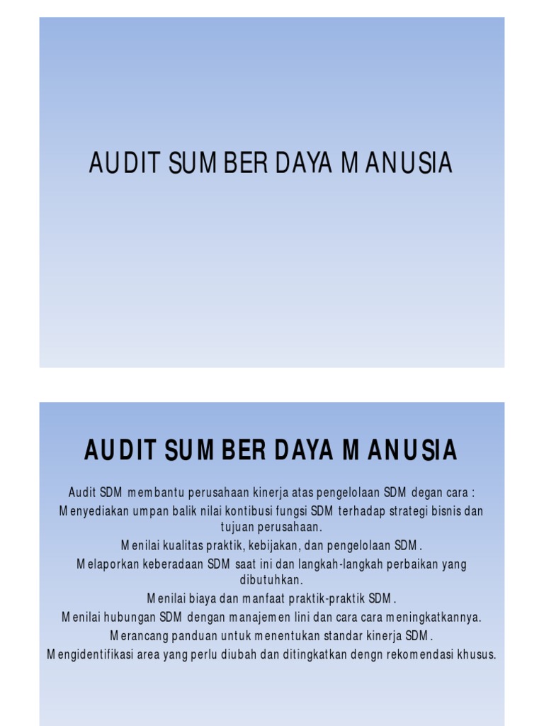 Rekomendasi Audit SDM untuk Efisiensi | PDF
