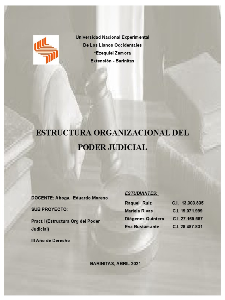 Estructura Organizacional Del Poder Judicial | PDF | Instituciones ...