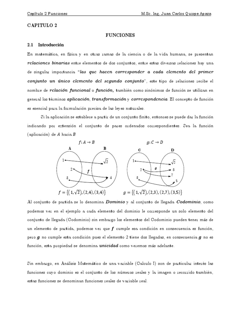 Capitulo 2 Funciones | PDF | Función (Matemáticas) | Asíntota