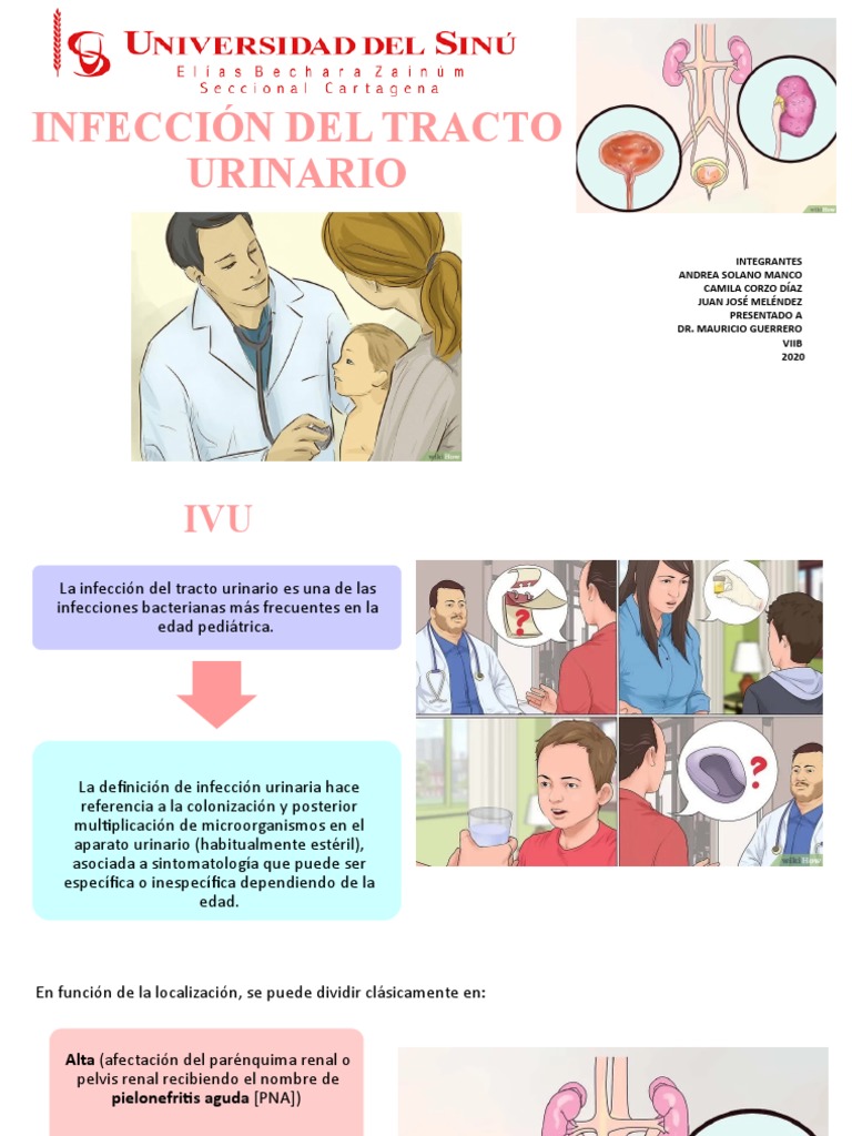 Clasificación de Ivu | PDF | Infección del tracto urinario | Salud pública