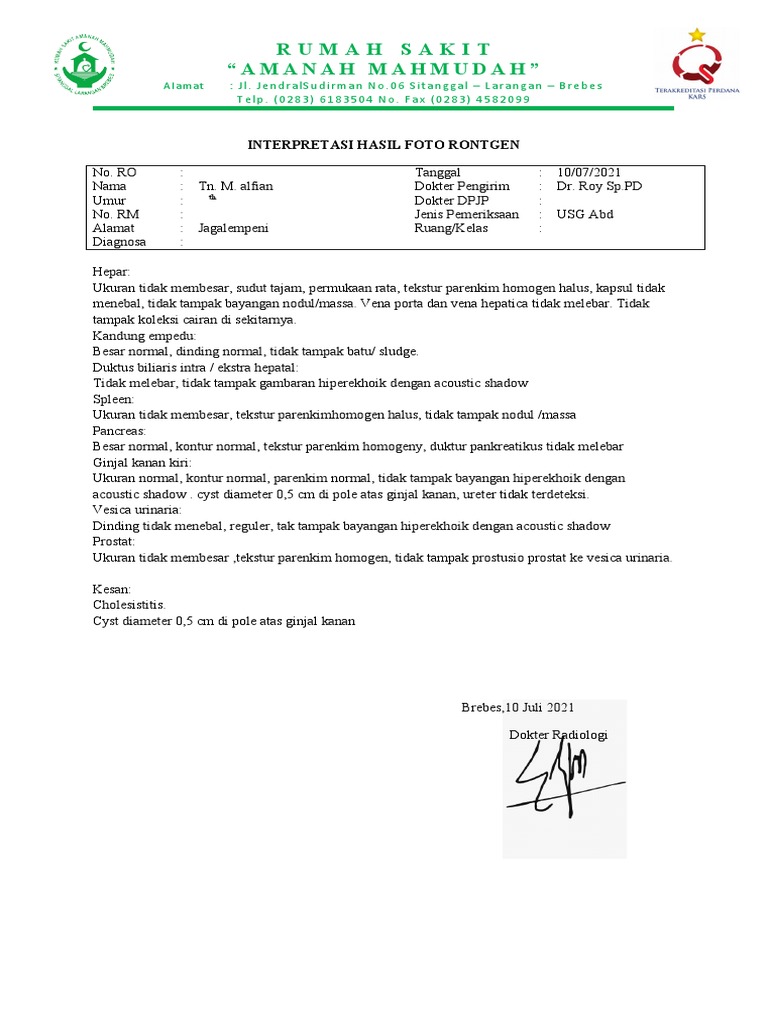 Interpretasi Hasil Usg | PDF
