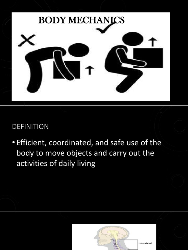 Body Mechanics | PDF | Anatomical Terms Of Motion | Pelvis