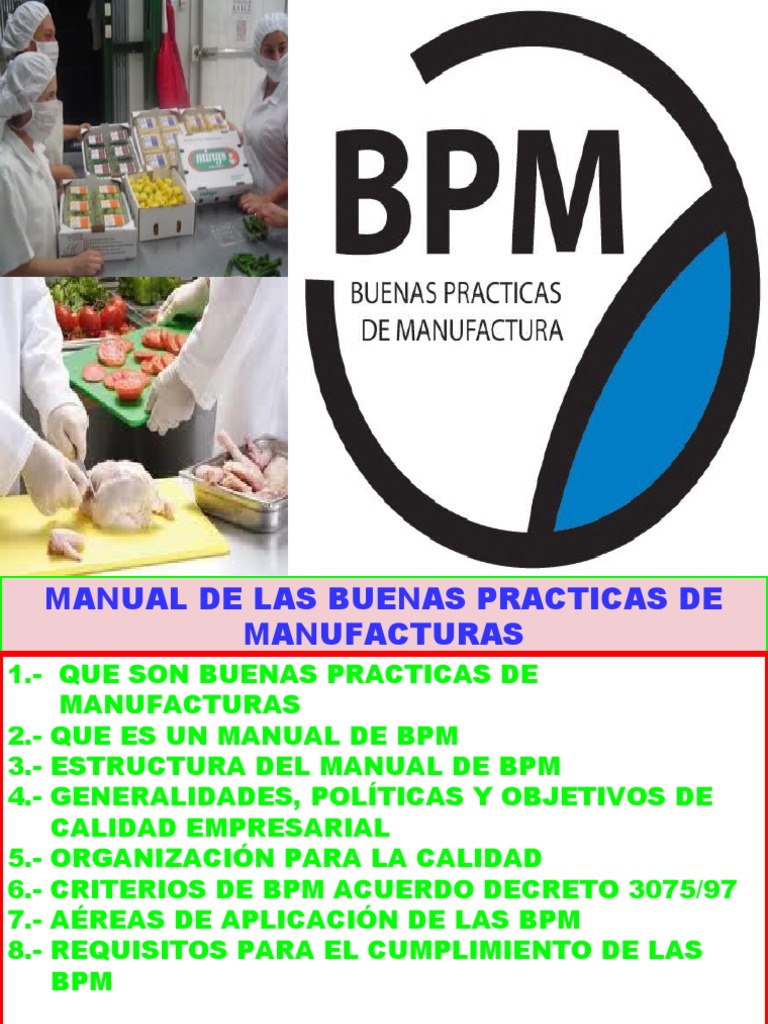 Manual de Buenas Prácticas de Manufactura | PDF | Calidad (comercial ...