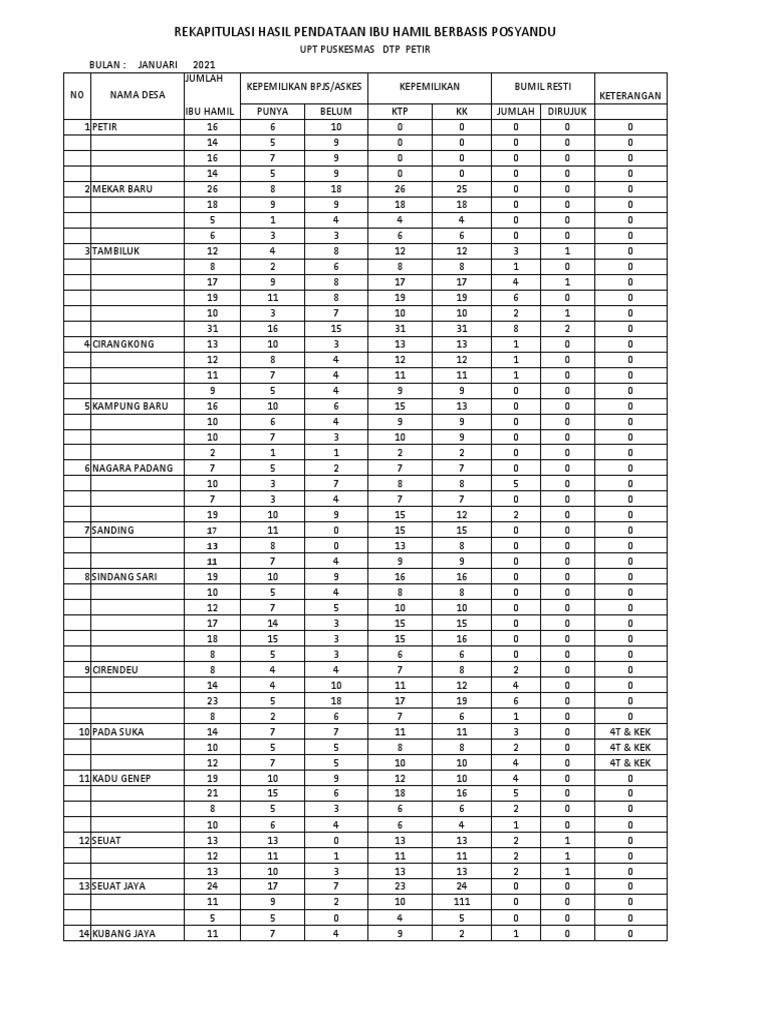 Data Ibu Hamil Posyandu Petir | PDF