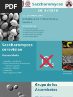 Enzima Invertasa | PDF | Sacarosa | Química
